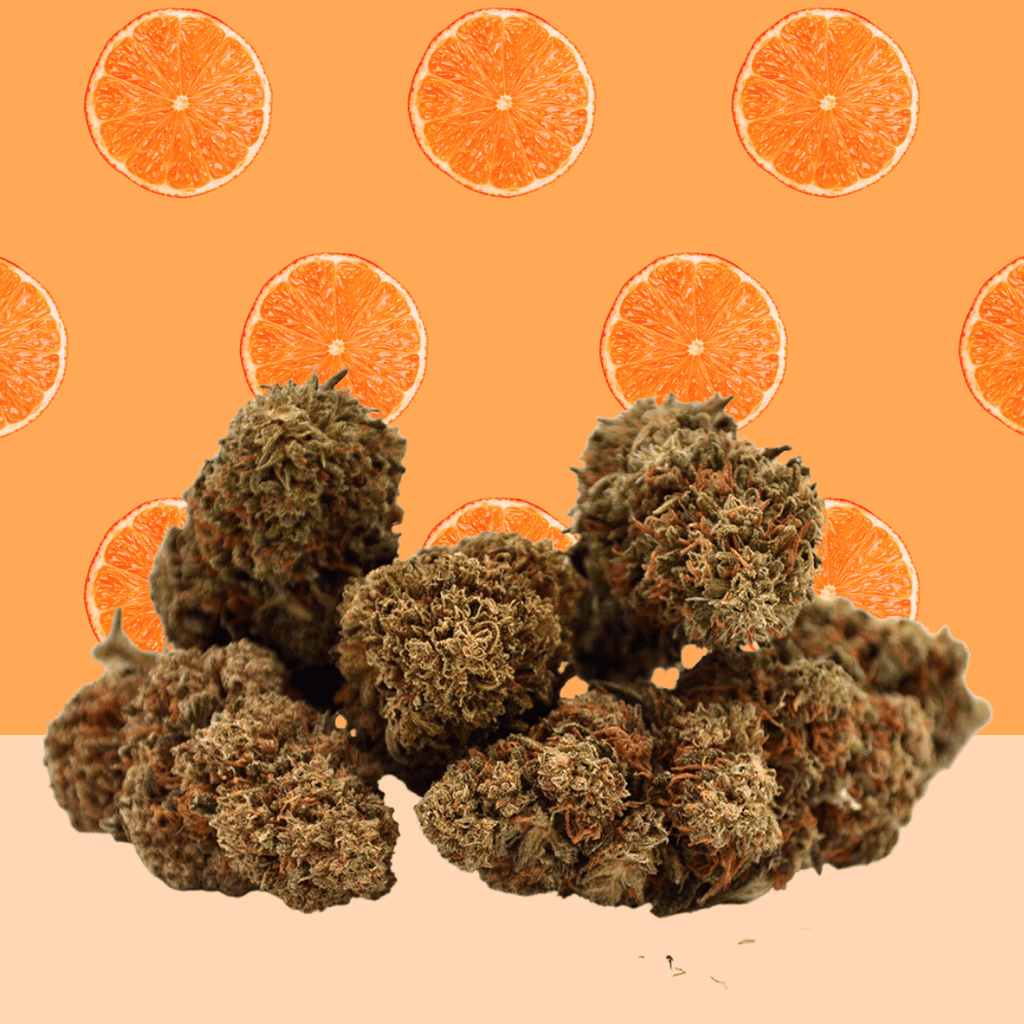 Orange Bud CBD [Greenhouse] - Wysokiej jakości naturalne kwiaty - Mama Kana
